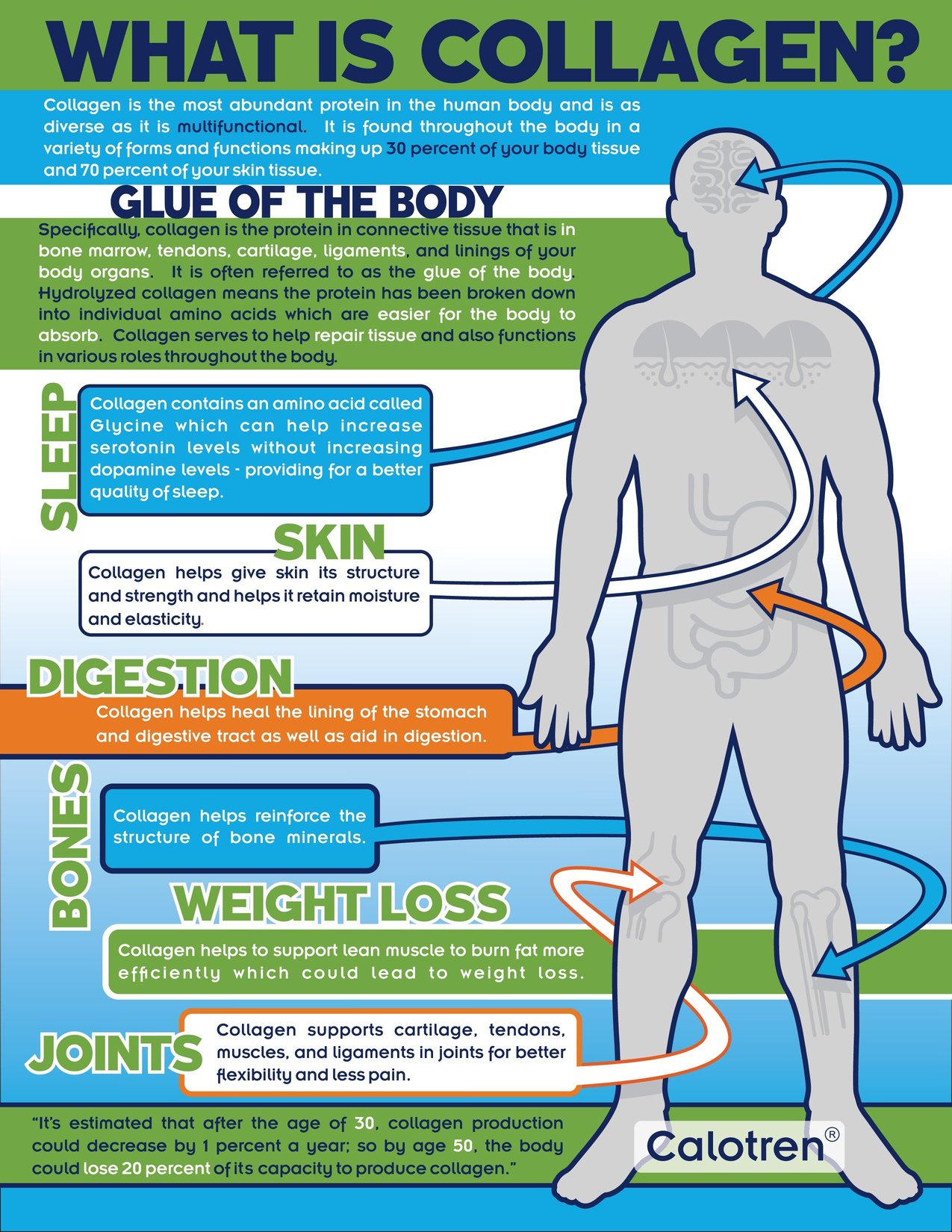How To Lose Weight: The Science | Calotren